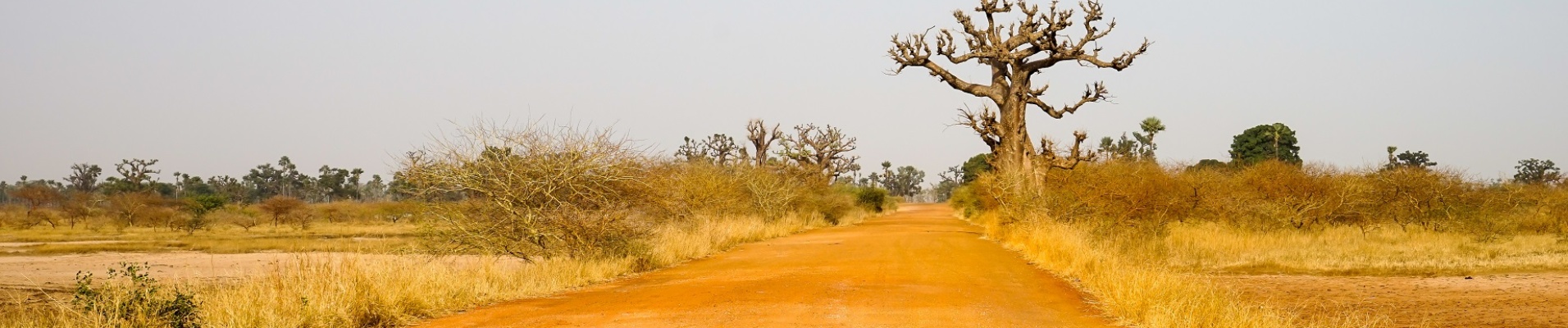 Circuit au Sénégal, circuit guidé - Sénégal Original